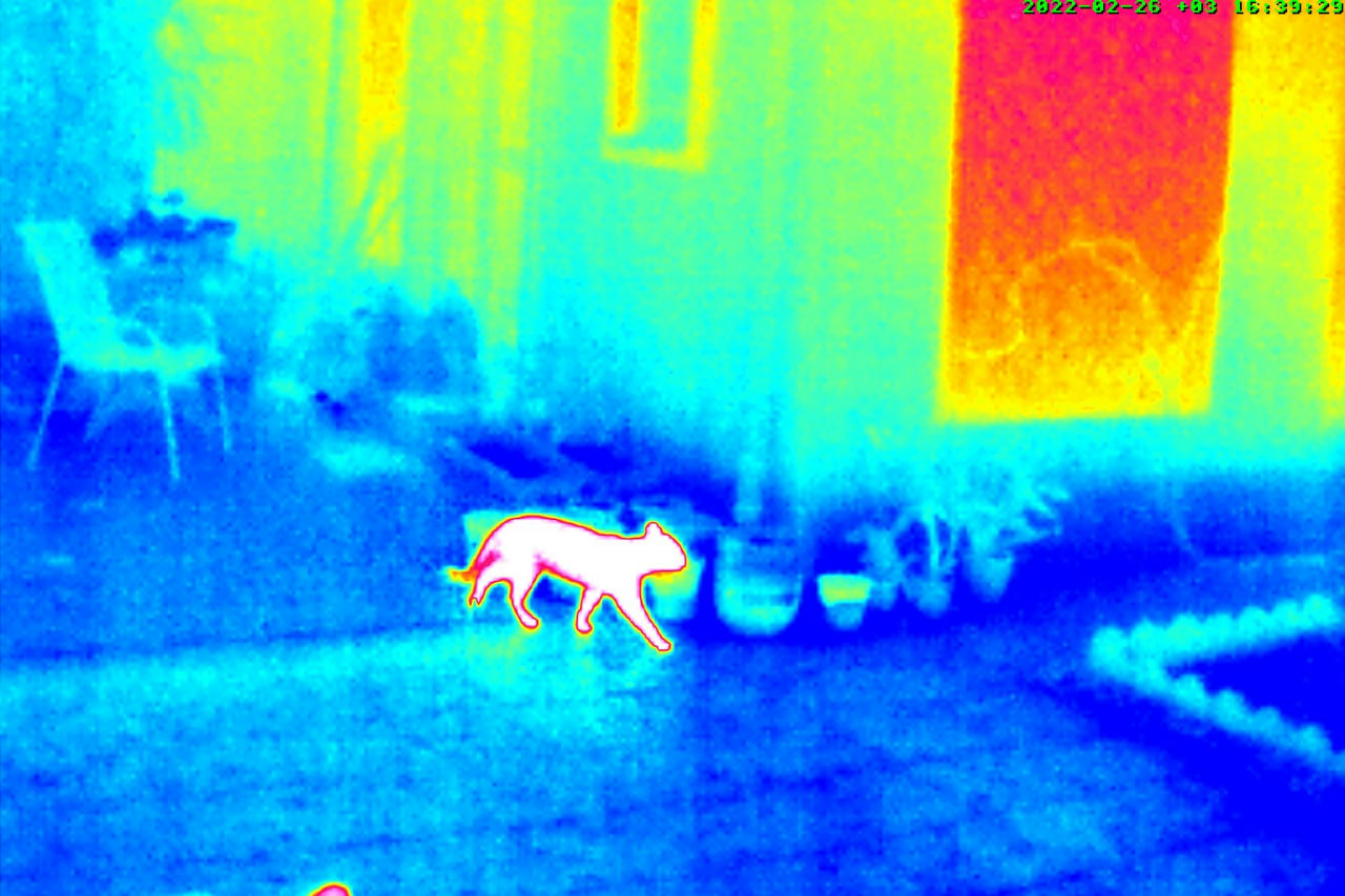 Mobotix Notifier in Python – get desktop messages from your cameras ...